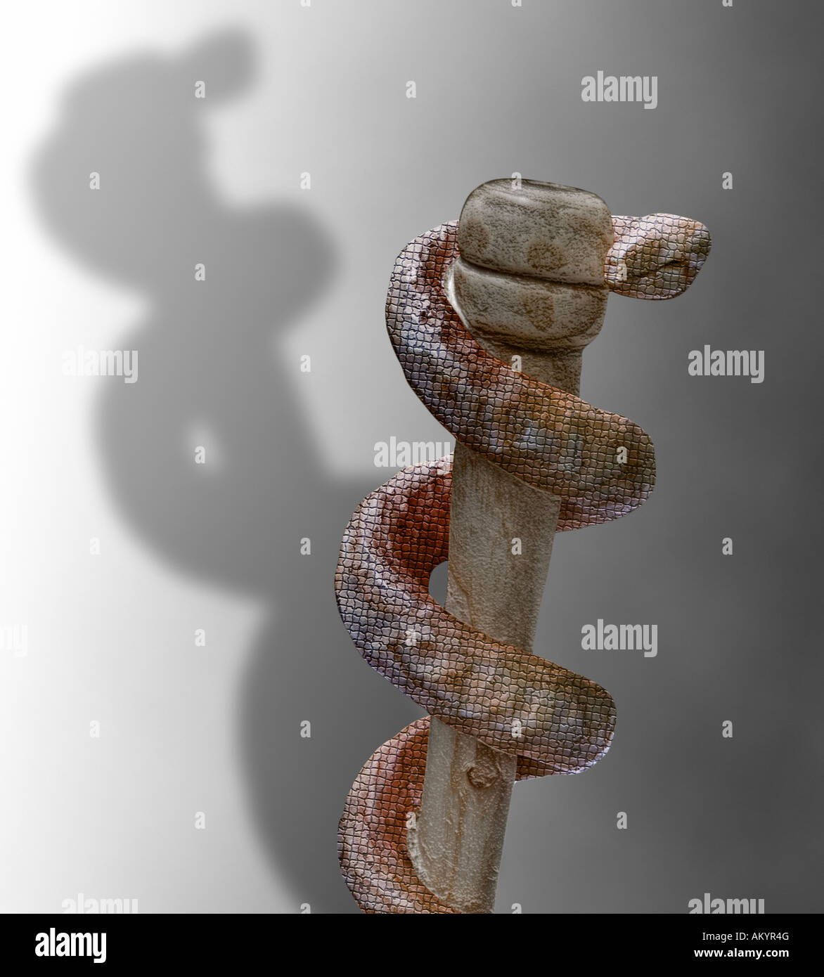 Asclepius´ hi-res stock photography and images - Alamy