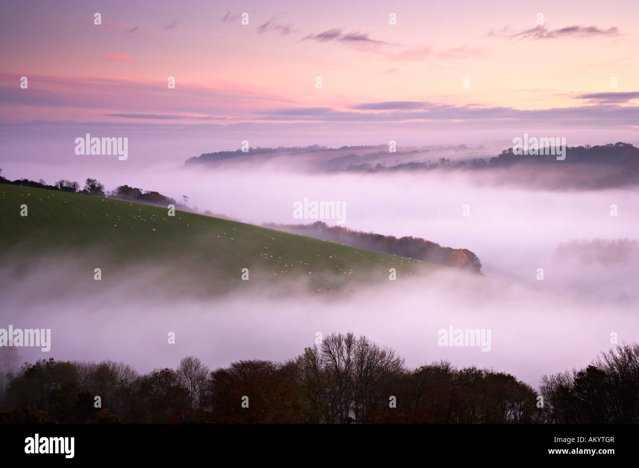 Hod Hill, near Shaftesbury, Dorset, UK Stock Photo - Alamy