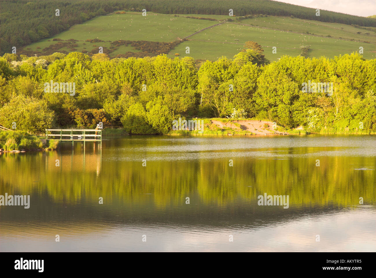 pond with fishing platform in the distance on a summers afternoon Stock ...
