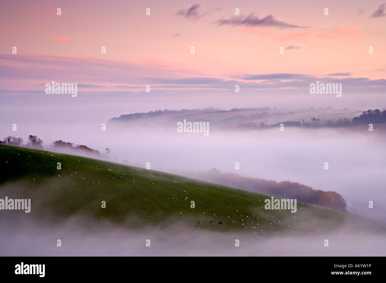 Hod Hill, near Shaftesbury, Dorset, UK Stock Photo - Alamy