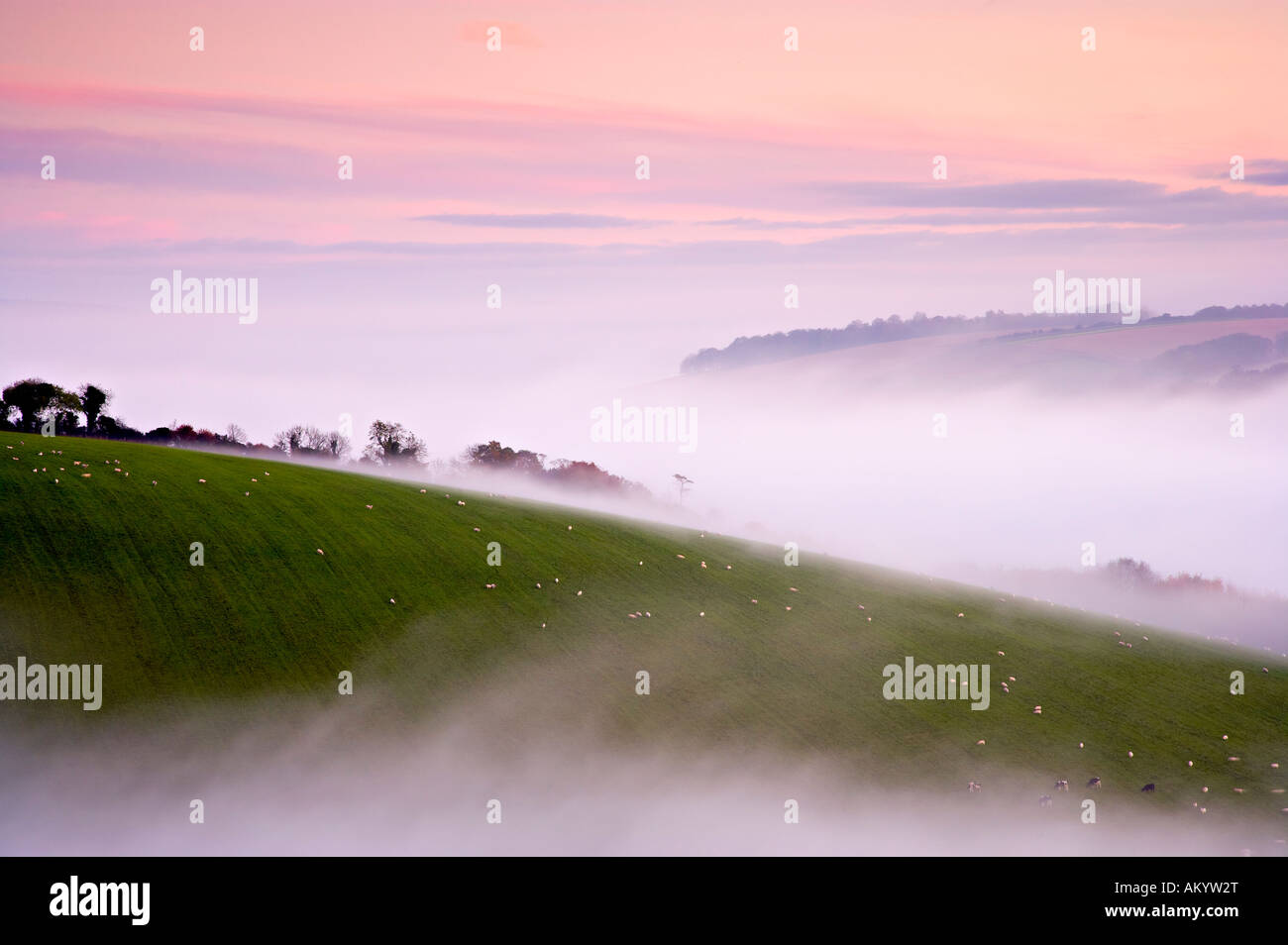 Hod Hill High Resolution Stock Photography and Images - Alamy