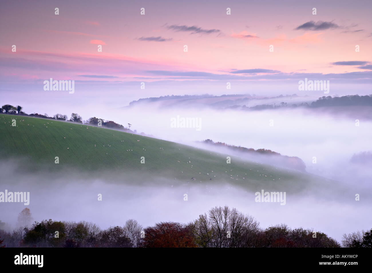 Fort hod hi-res stock photography and images - Alamy
