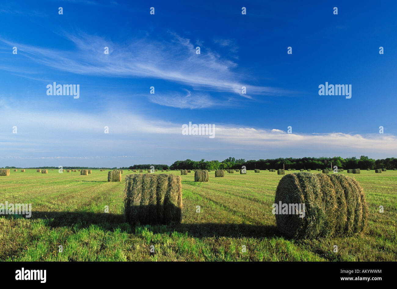 River hay hi-res stock photography and images - Alamy