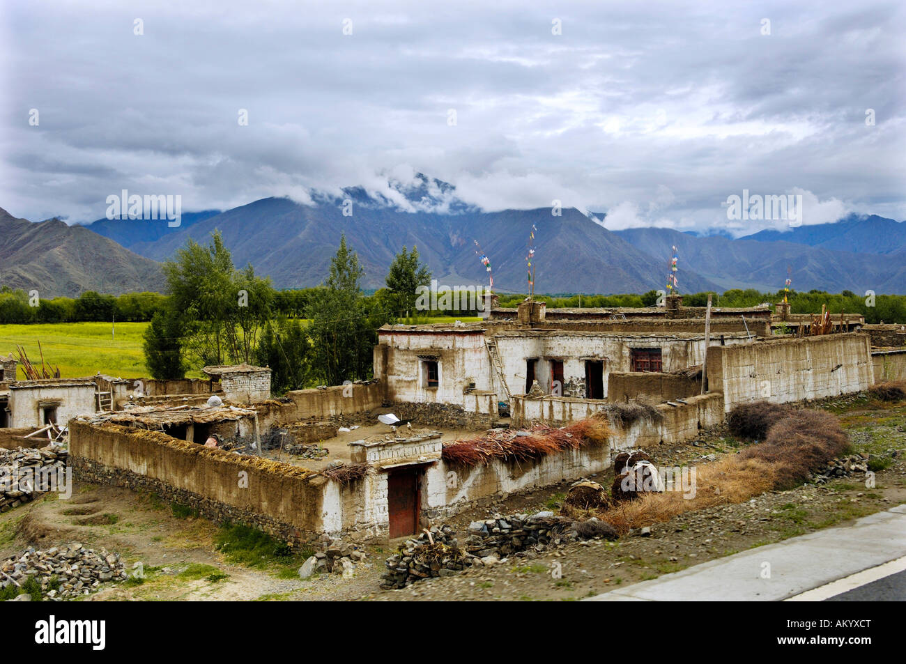 Typically tibetan hi-res stock photography and images - Alamy