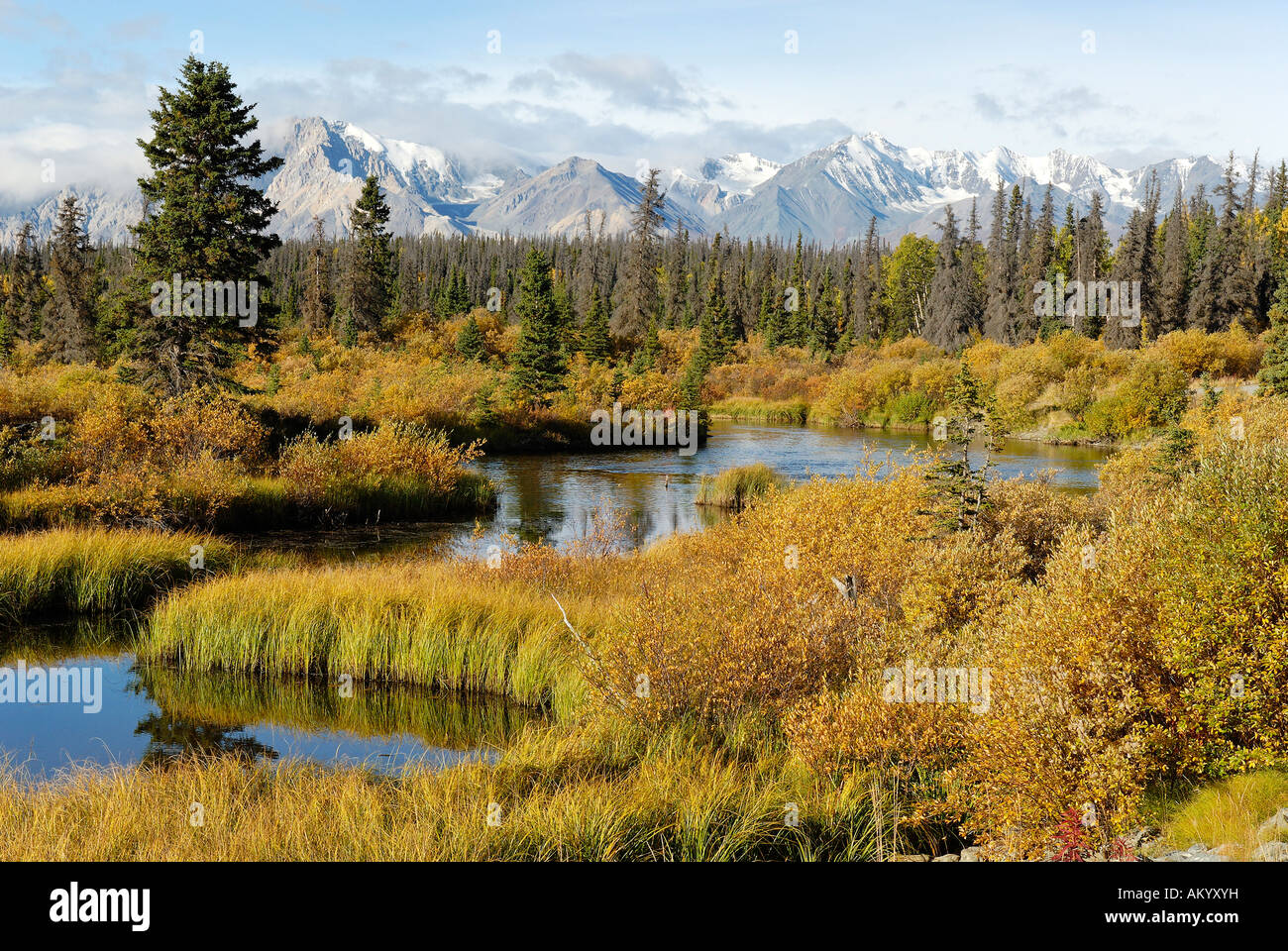 Jarvis River, Kluane National Park, Yukon Territory, Canada Stock Photo ...