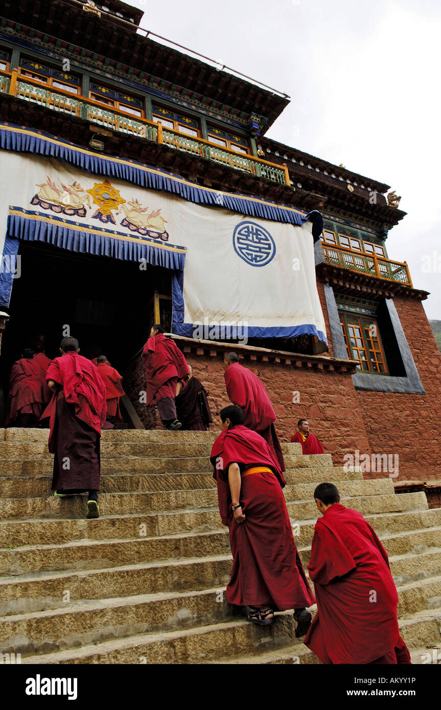 Monks, monastery Tshurpu near Lhasa, Tibet, Asia Stock Photo - Alamy