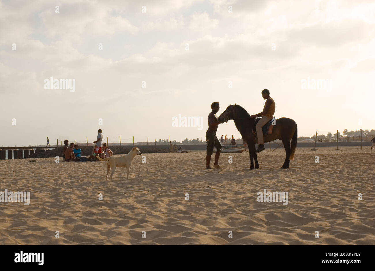 A typical scene of beach life in Santa Maria in the cape verde islands ...