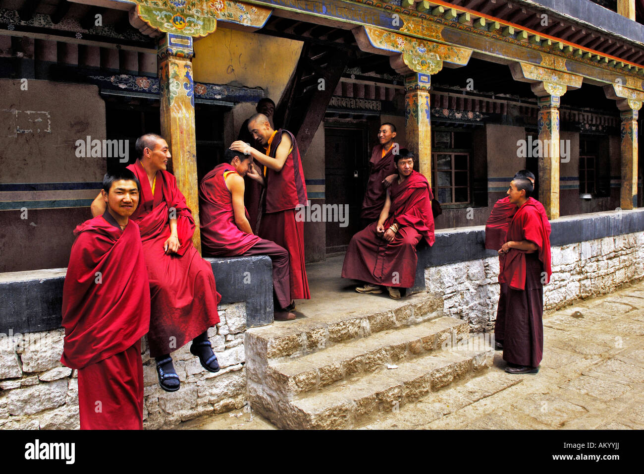 Monks cutting hair, Tshurpu Convent near Lhasa, Tibet Stock Photo - Alamy