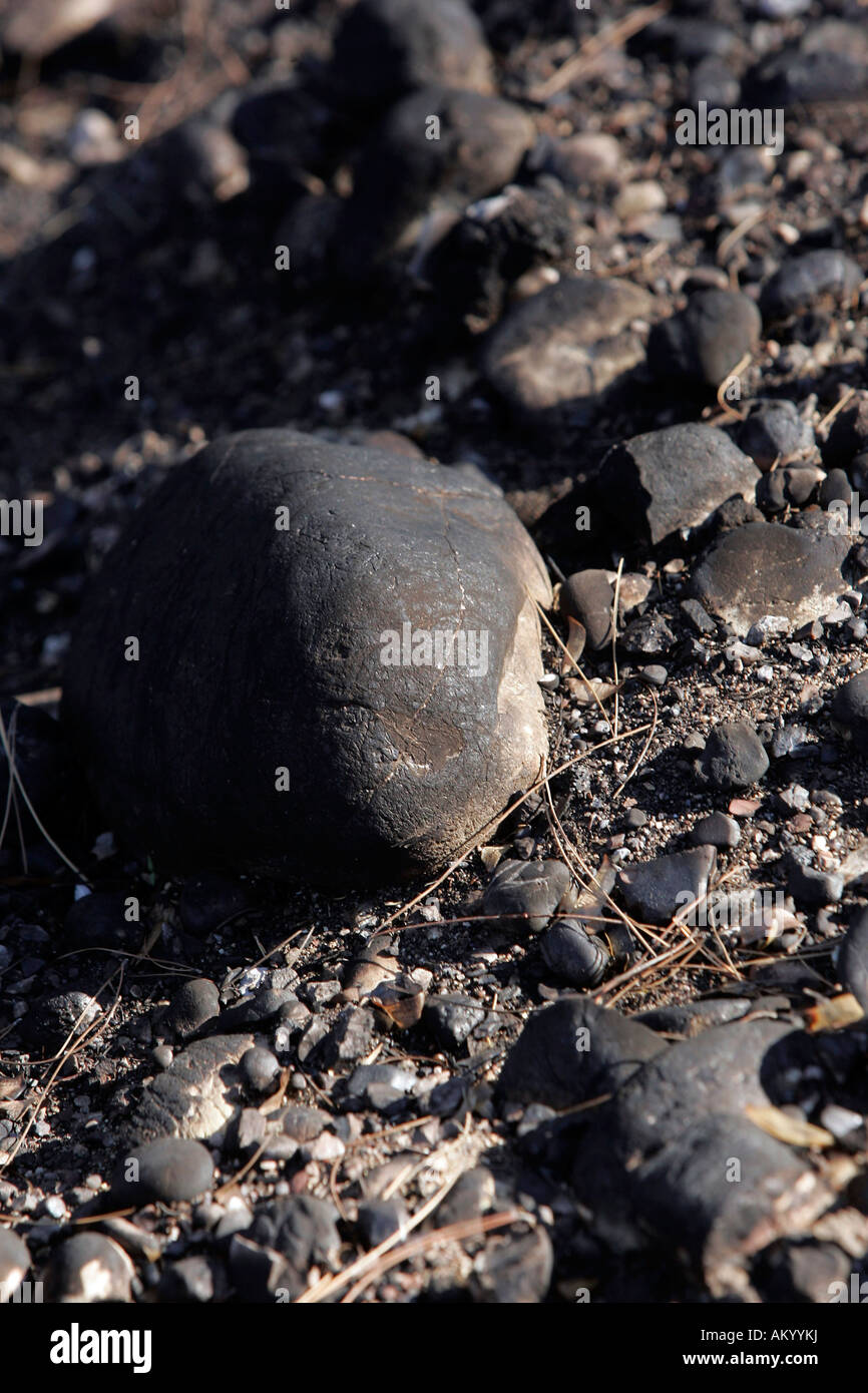 Burnt stone hi-res stock photography and images - Alamy