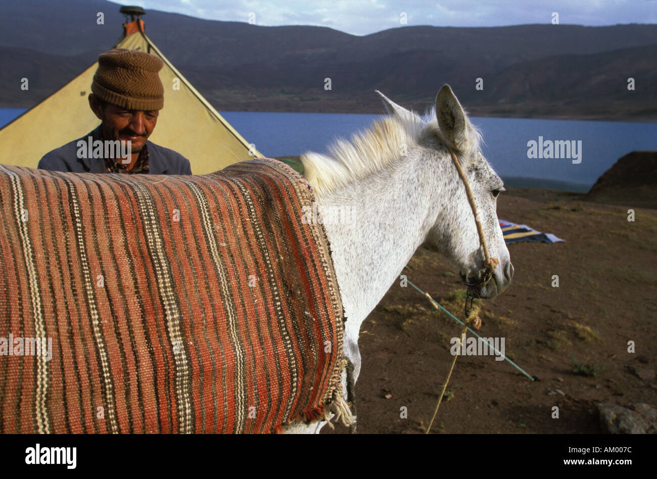 Mule trek atlas mountains hi-res stock photography and images - Alamy