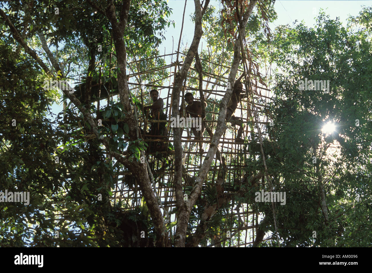 Kombai hi-res stock photography and images - Alamy