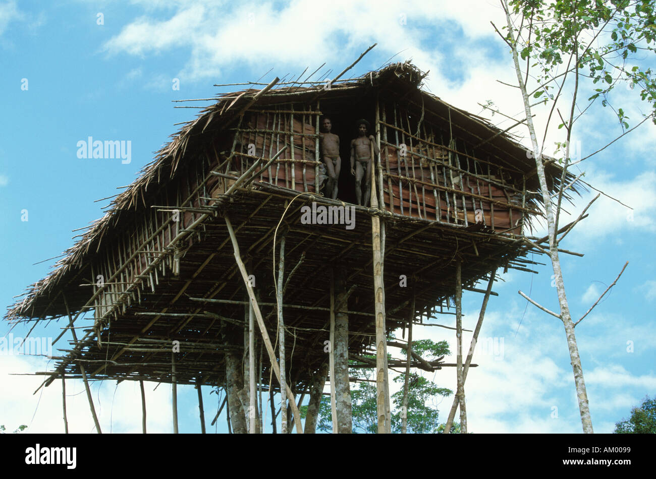 Two men standing in the doorway of their treehouse territory of the ...