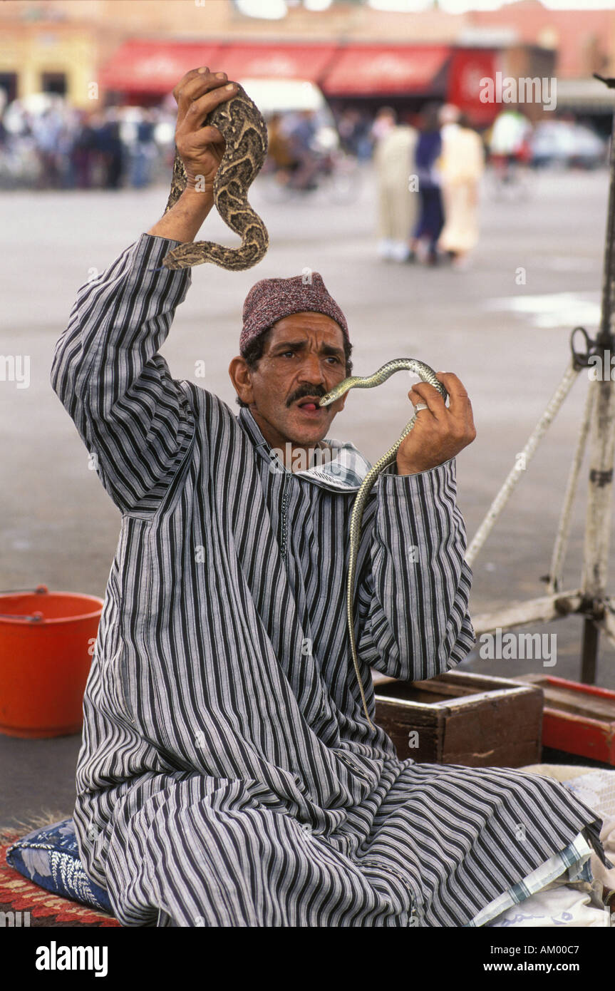 Snake charmer holding snakes in the square Djemaa el Fna Marrakesh ...