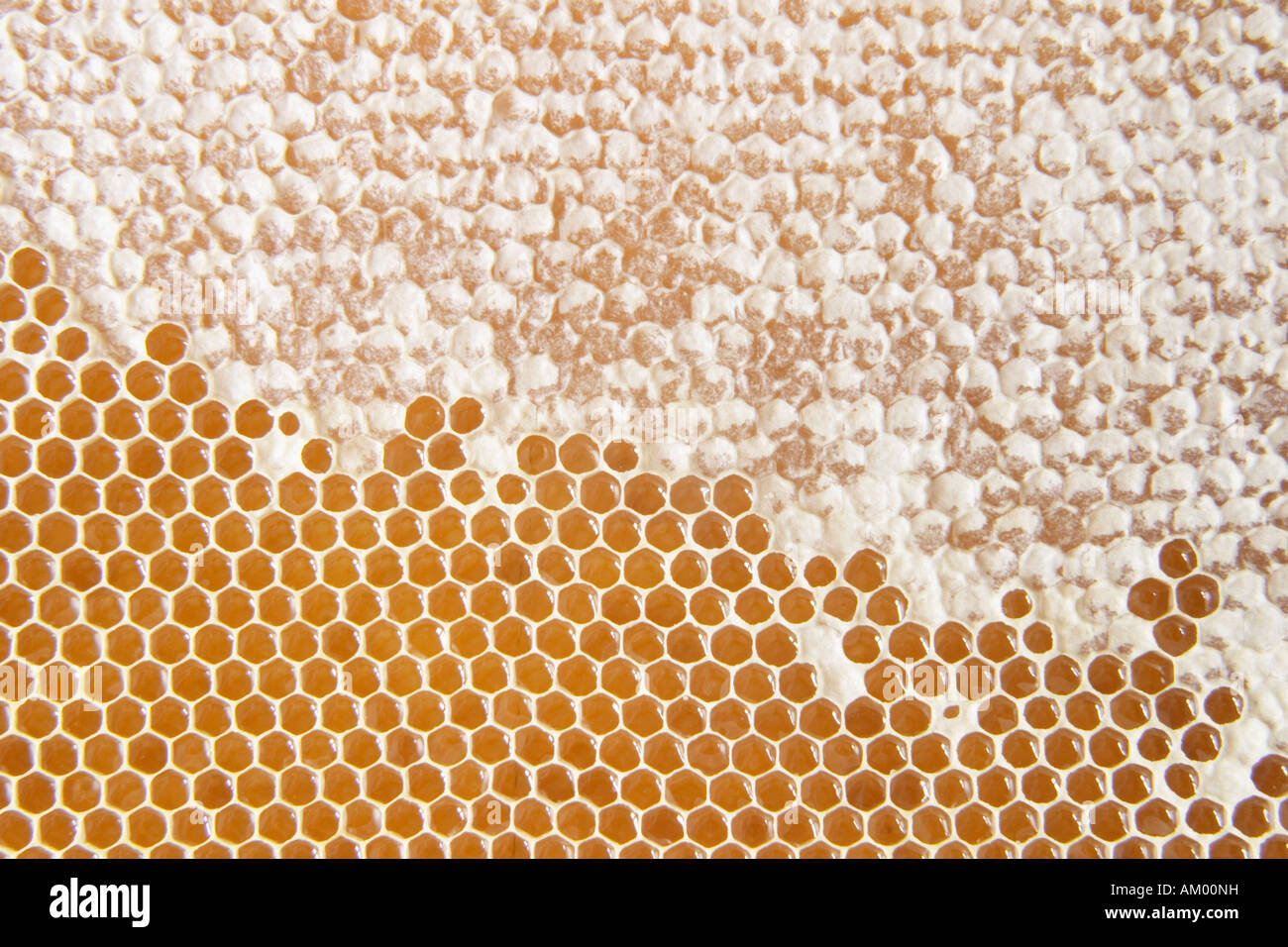 Partly covered hi-res stock photography and images - Alamy