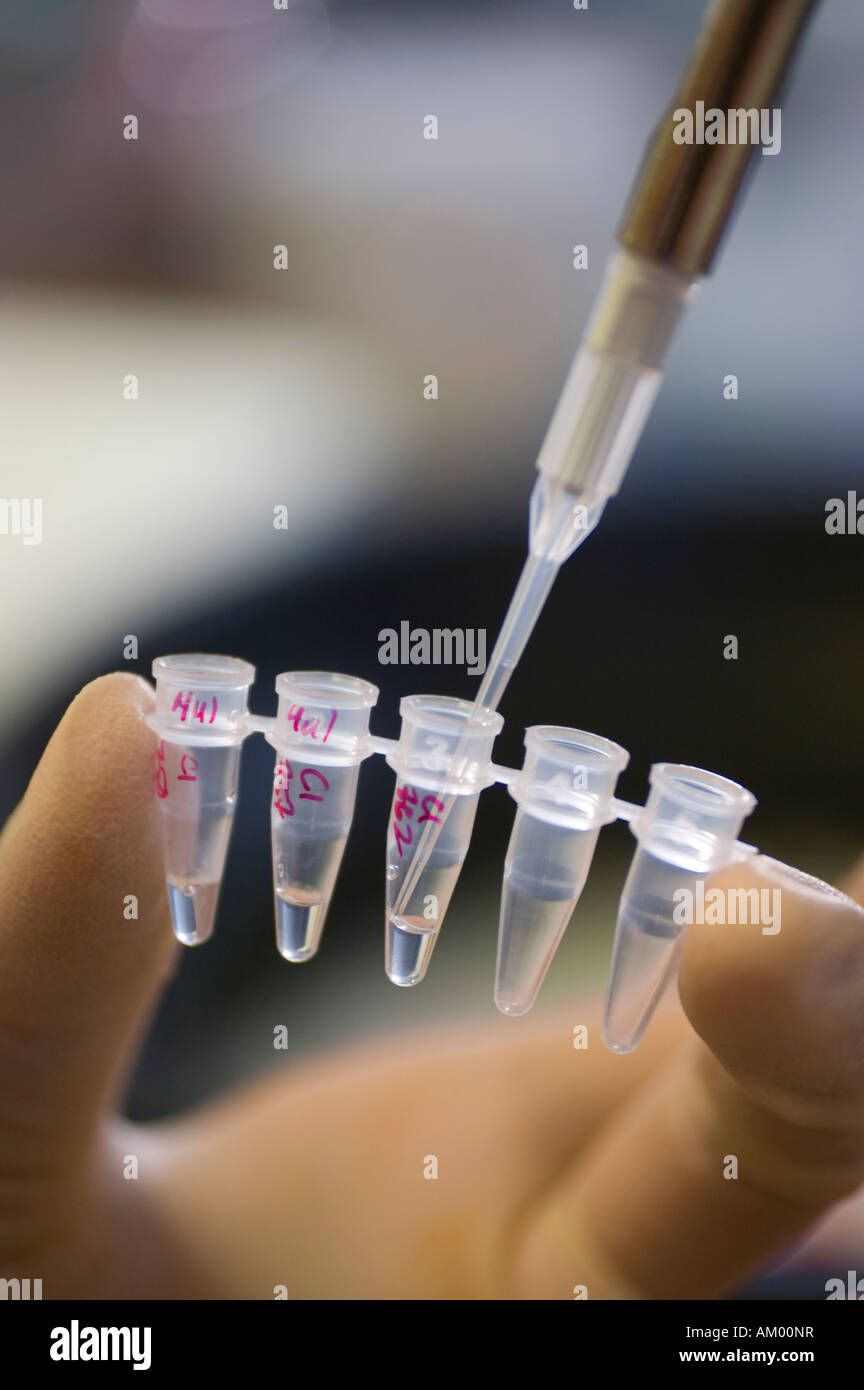 Pipette hi-res stock photography and images - Alamy