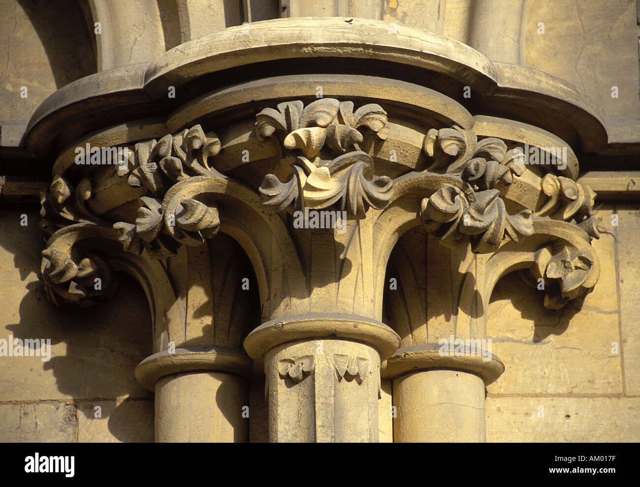 Early English stiff leaf capital C13th York Minster York Stock Photo ...