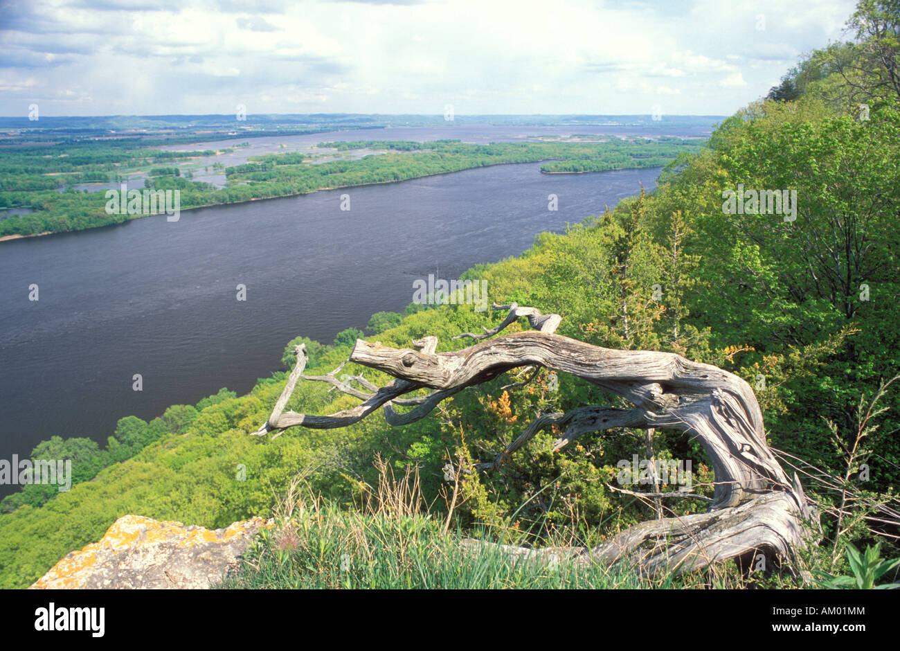Mississippi River from Great River Bluffs State Park Minnesota Stock ...