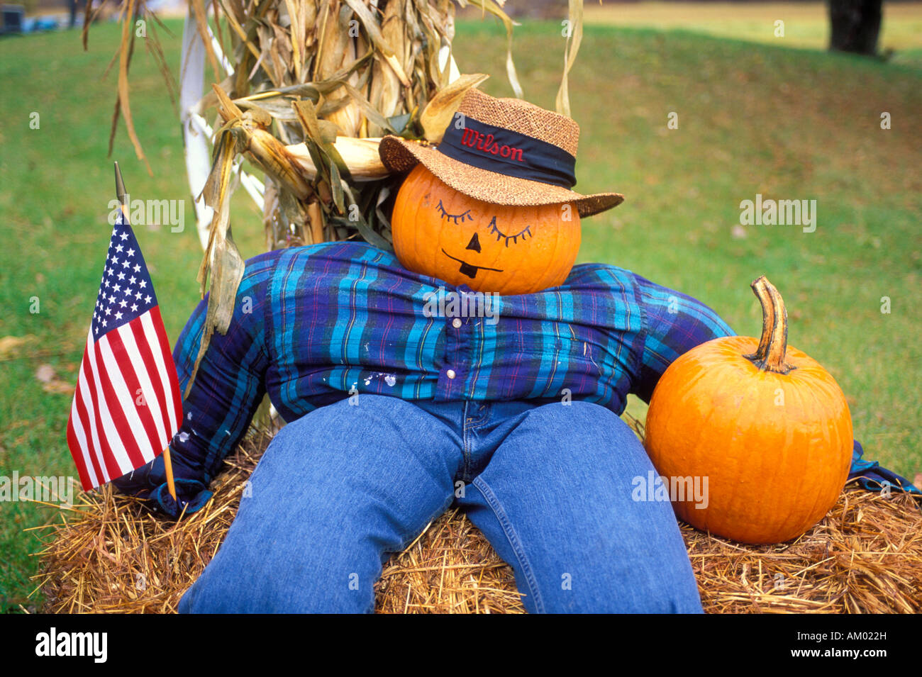 Corn stalk decoration hi-res stock photography and images - Alamy