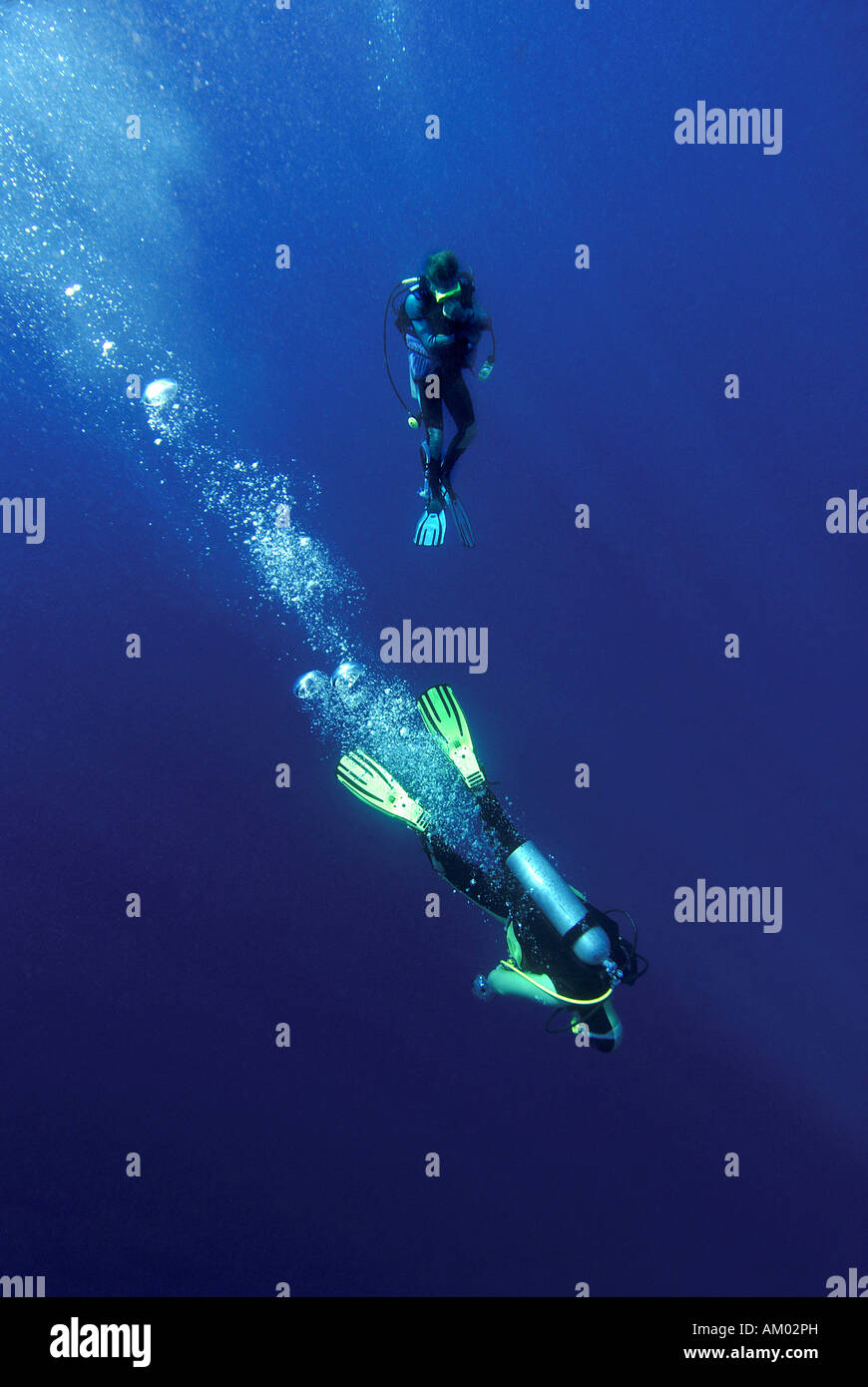 Descending dive hi-res stock photography and images - Alamy