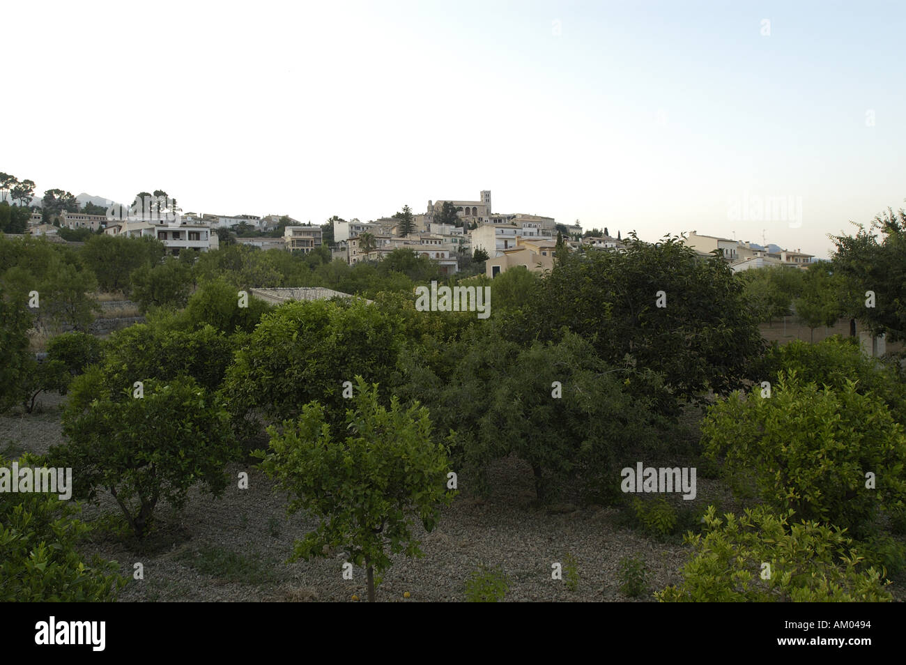 Selva Raiguer Serra Tramuntana Mallorca Majorca Spain Europe ...