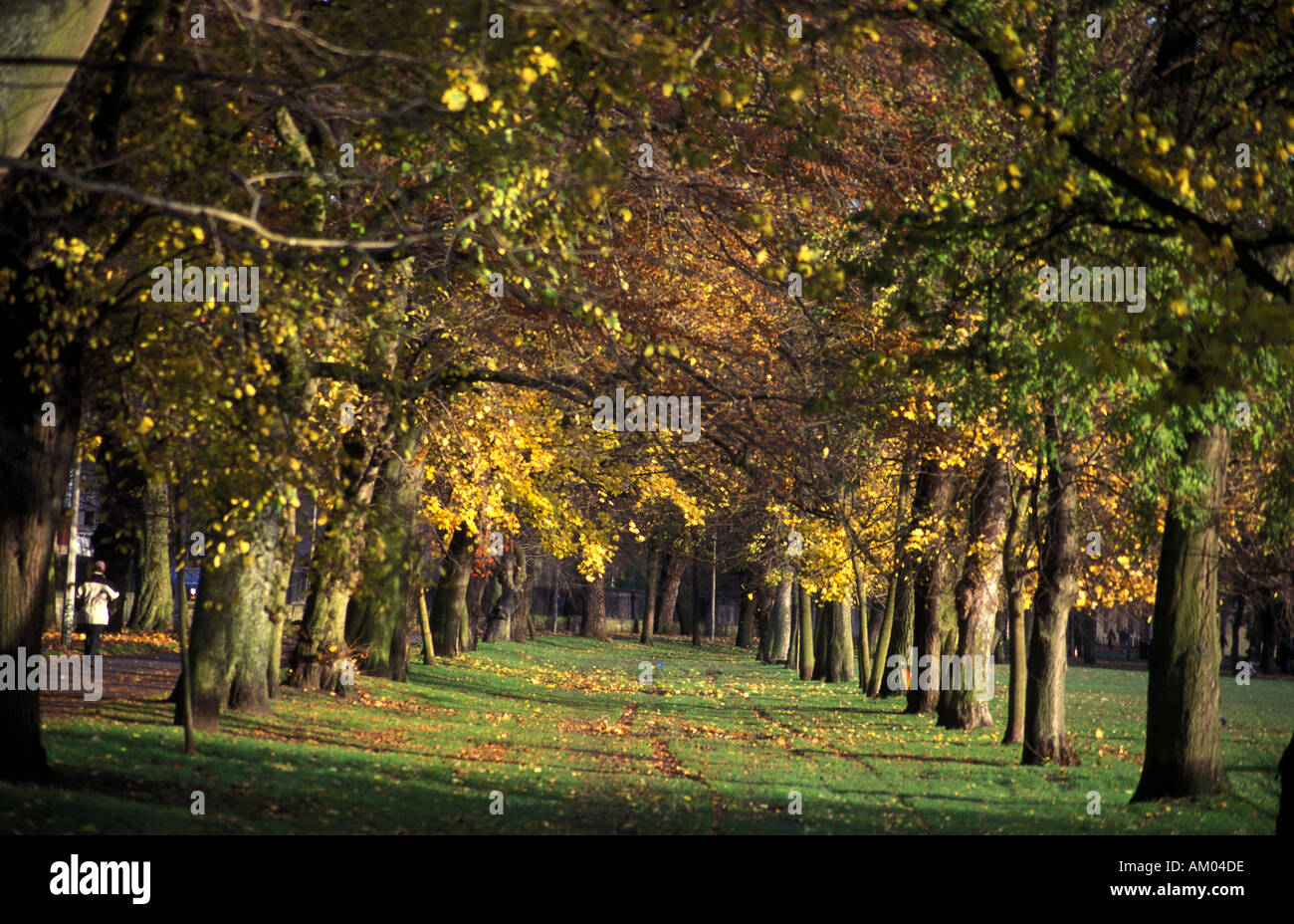 The Meadows Autumn Edinburgh Scotland UK Stock Photo - Alamy