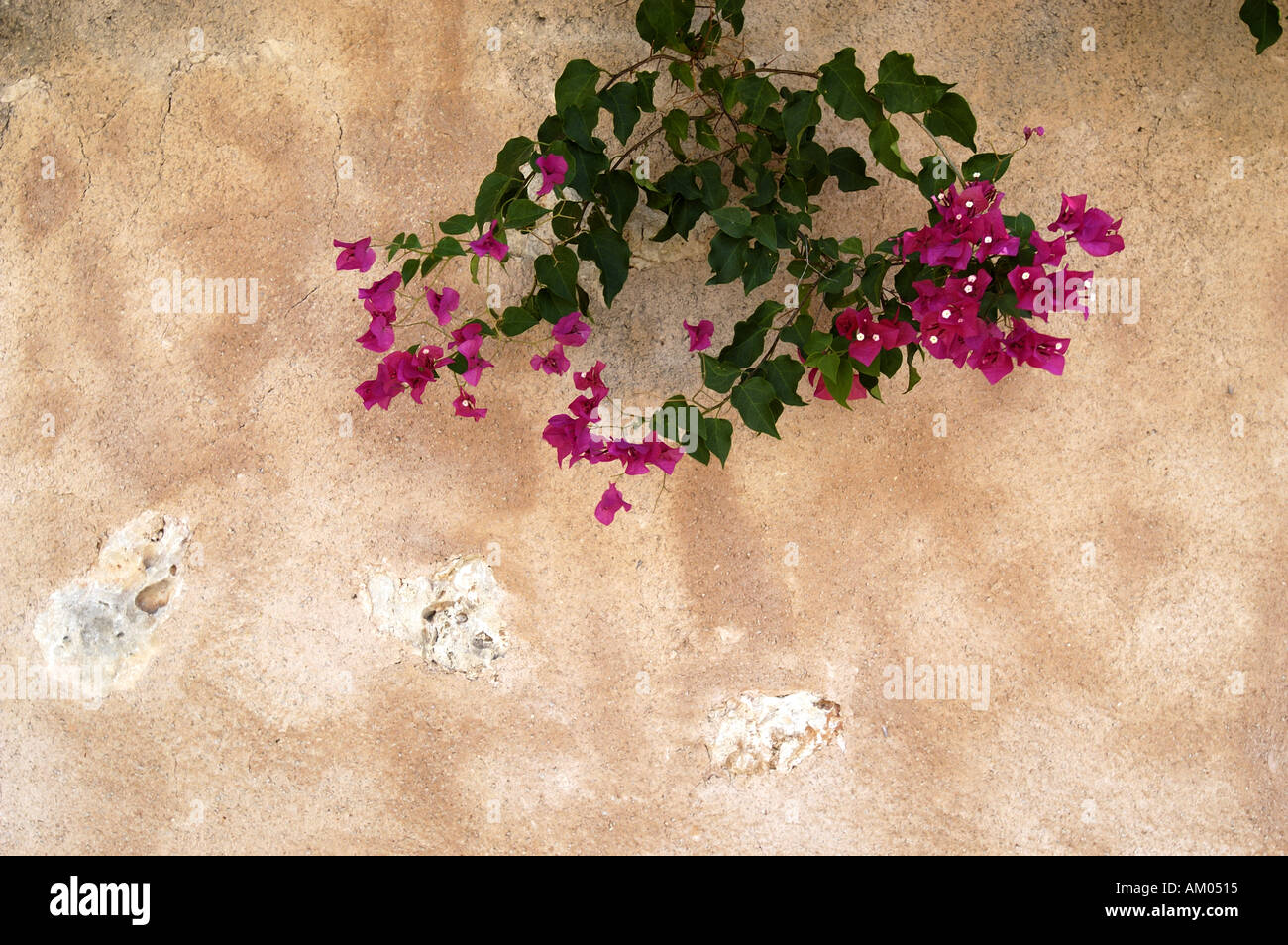 A view of a highway from a car Stock Photo - Alamy