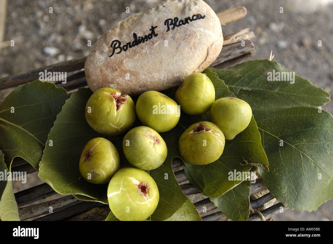 Various types of Figs on display at an outdoor stand Stock Photo - Alamy