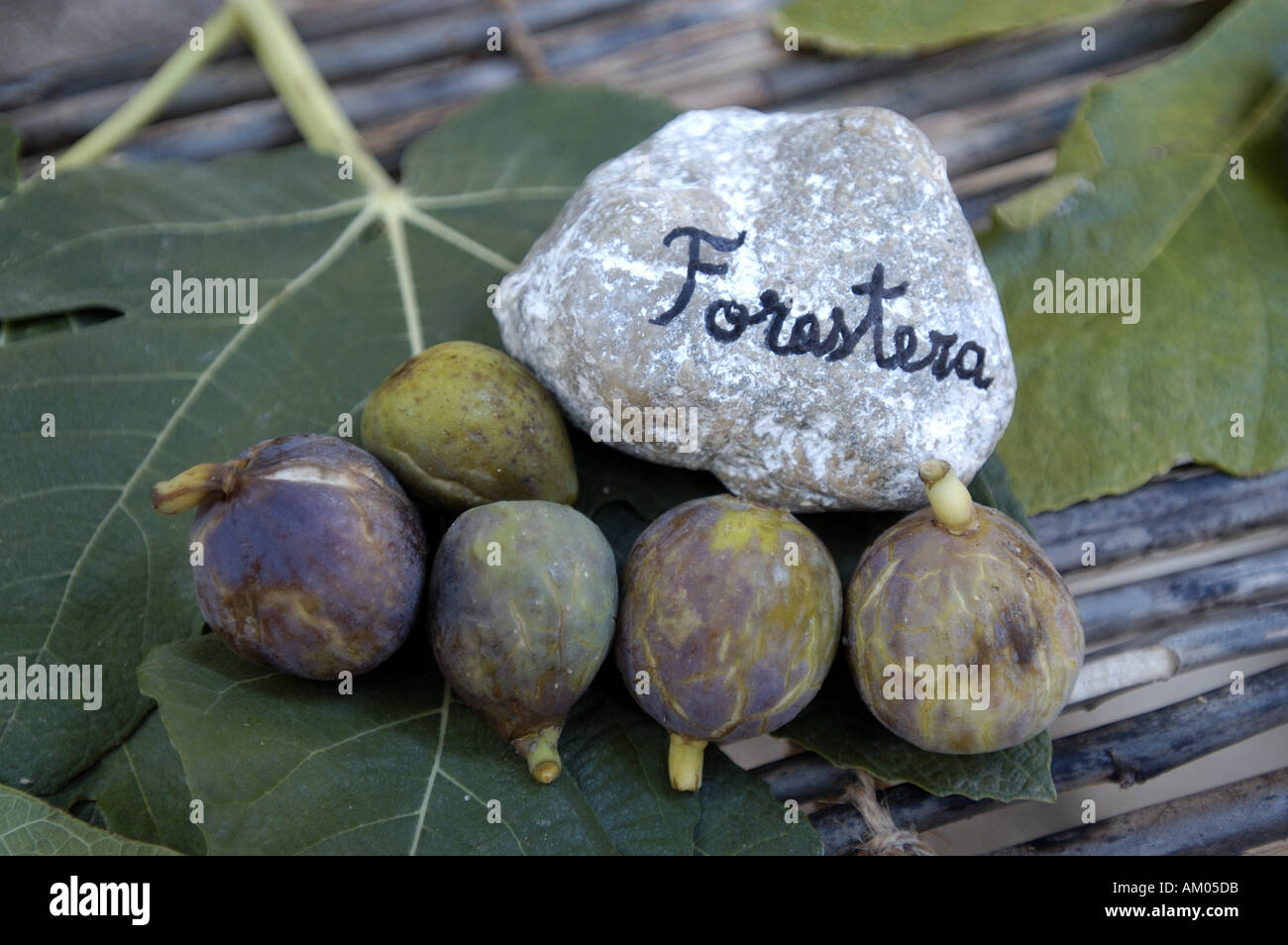 Various types of Figs on display at an outdoor stand Stock Photo - Alamy