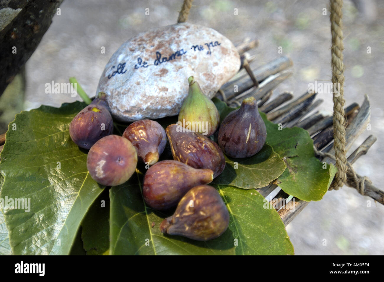 Various types of Figs on display at an outdoor stand Stock Photo - Alamy