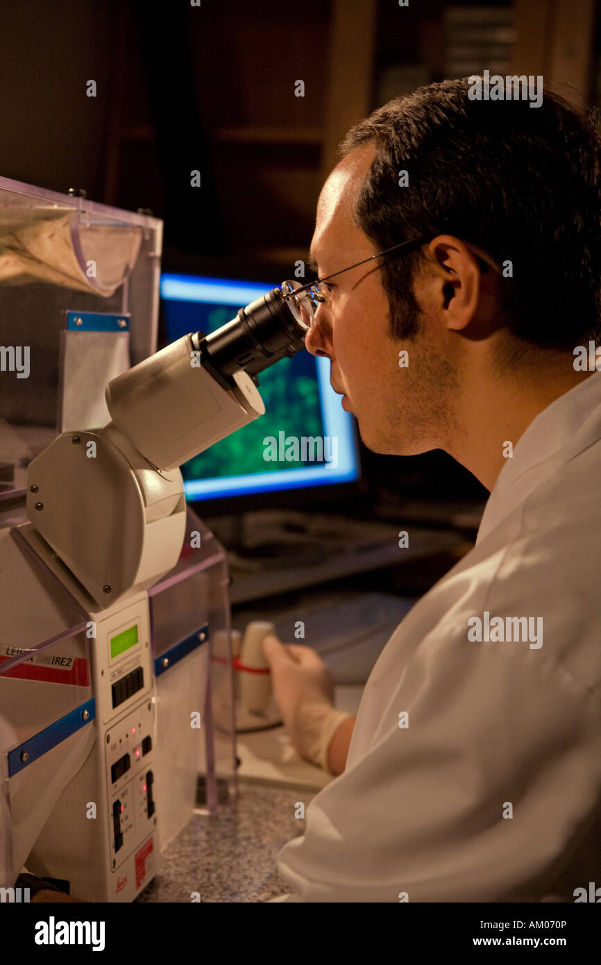 Computer cpu microscope High Resolution Stock Photography and Images ...