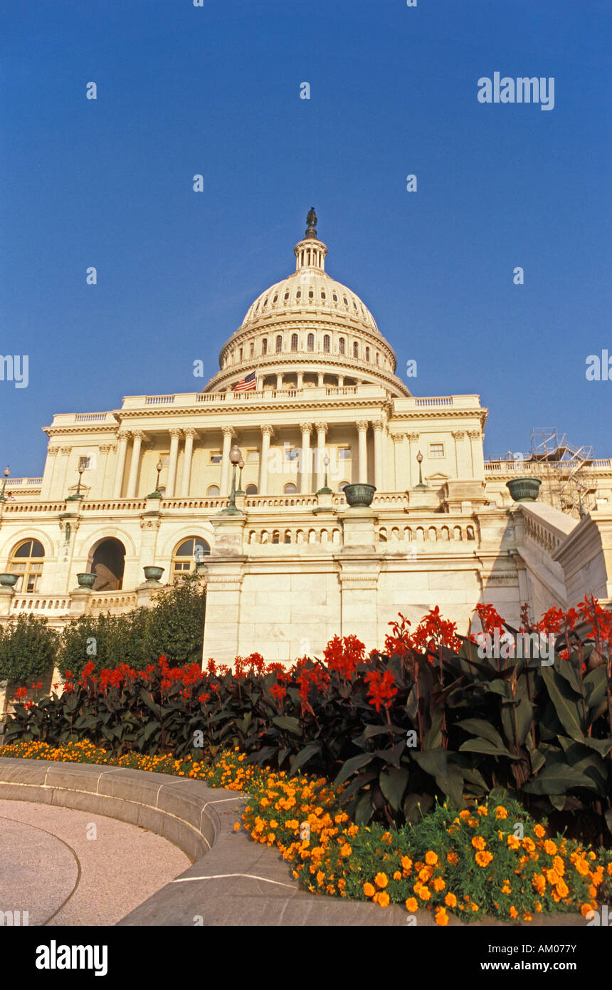 Capitol and gardens Washington D C Stock Photo - Alamy