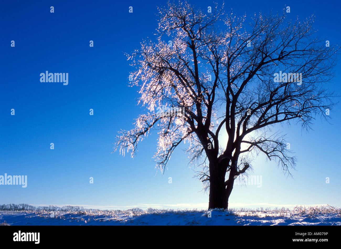 Covered with snow and ice hi-res stock photography and images - Alamy