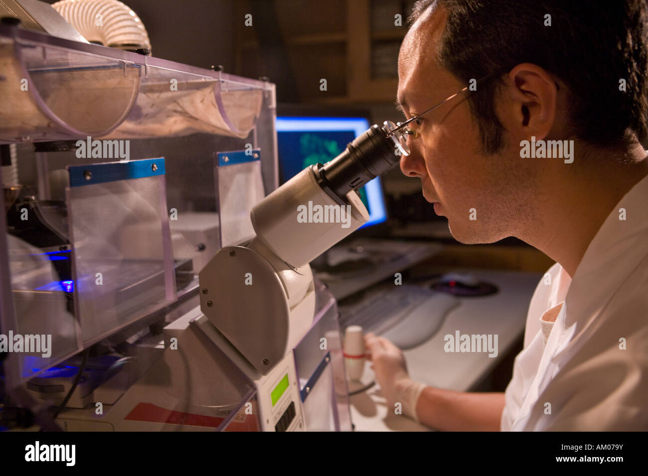Microscope landscape hi-res stock photography and images - Alamy