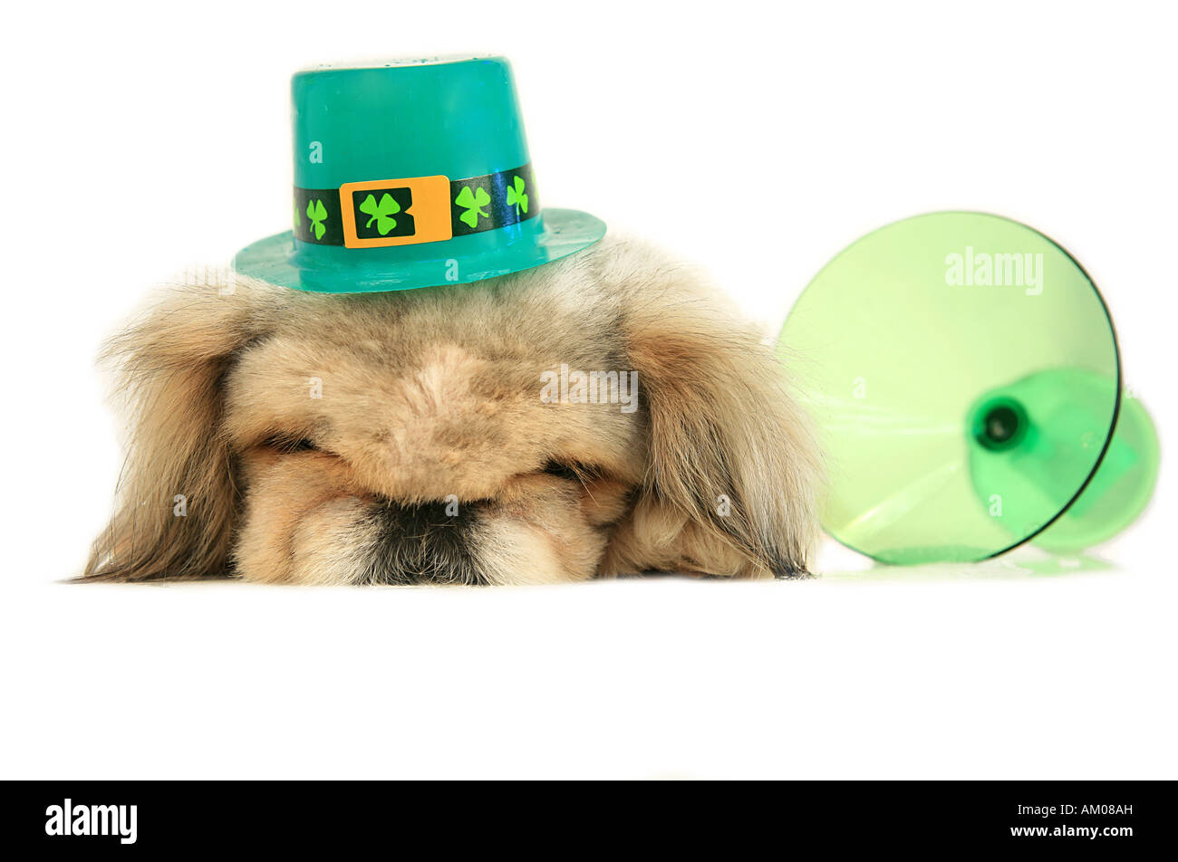 Drunk friend passed out Cut Out Stock Images & Pictures - Alamy