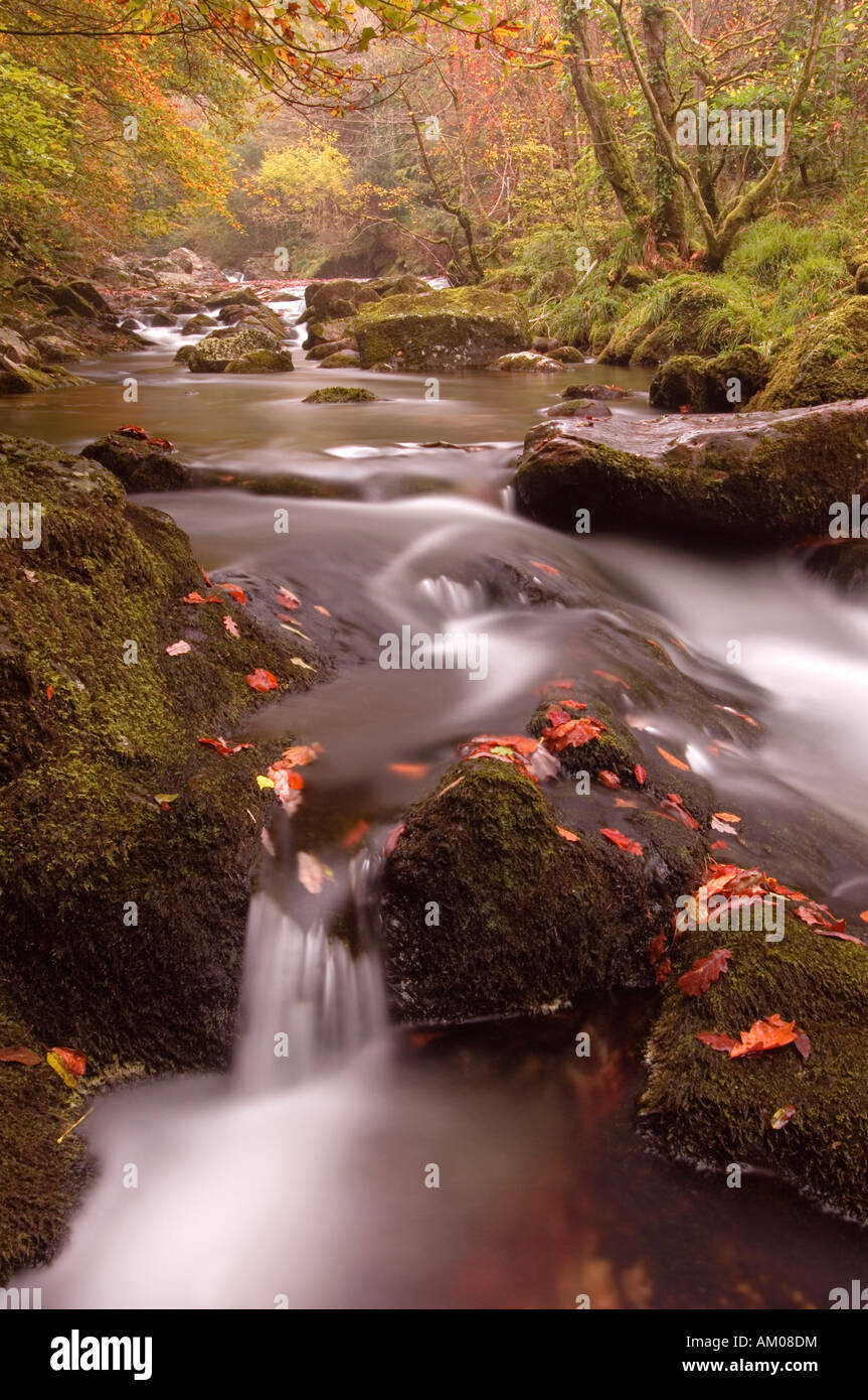 River erme south devon hi-res stock photography and images - Alamy