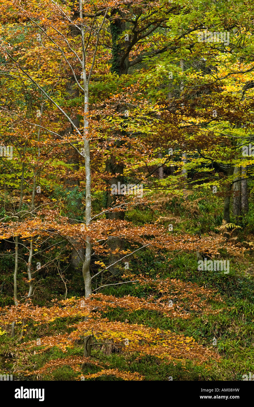 Allen valley hi-res stock photography and images - Alamy