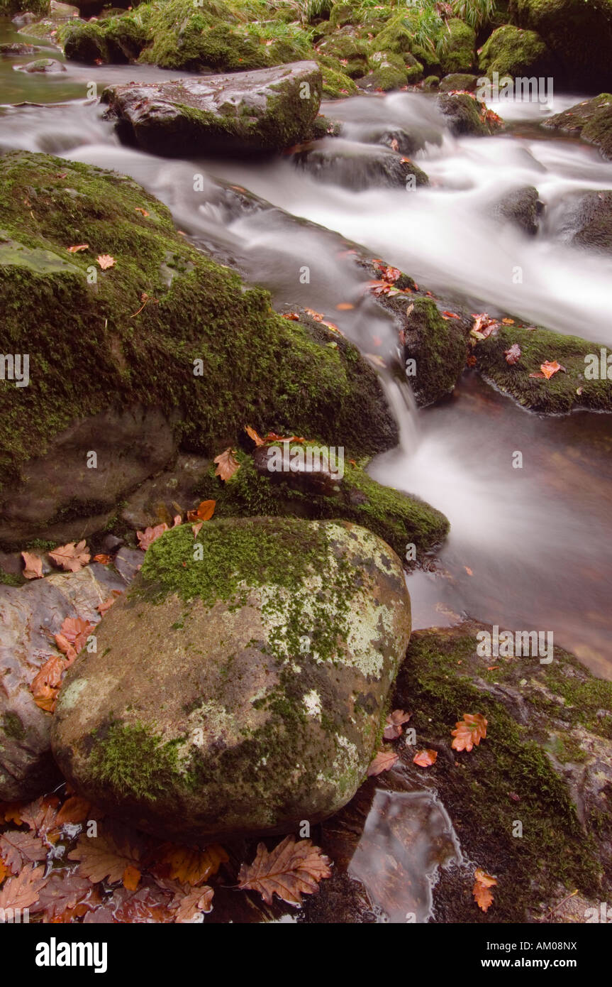 River erme south devon hi-res stock photography and images - Alamy