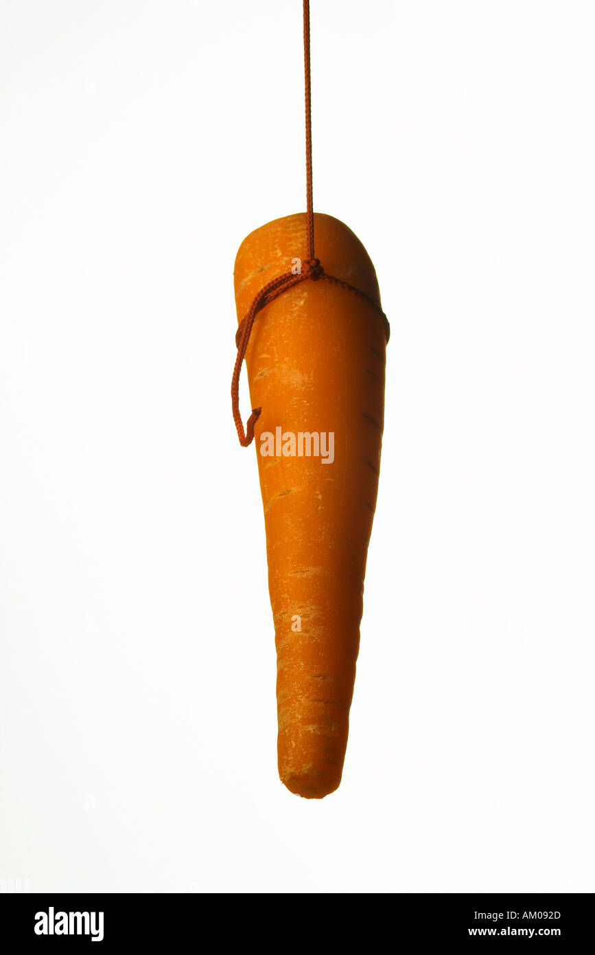 Donkey Carrot Stock Photos & Donkey Carrot Stock Images - Alamy