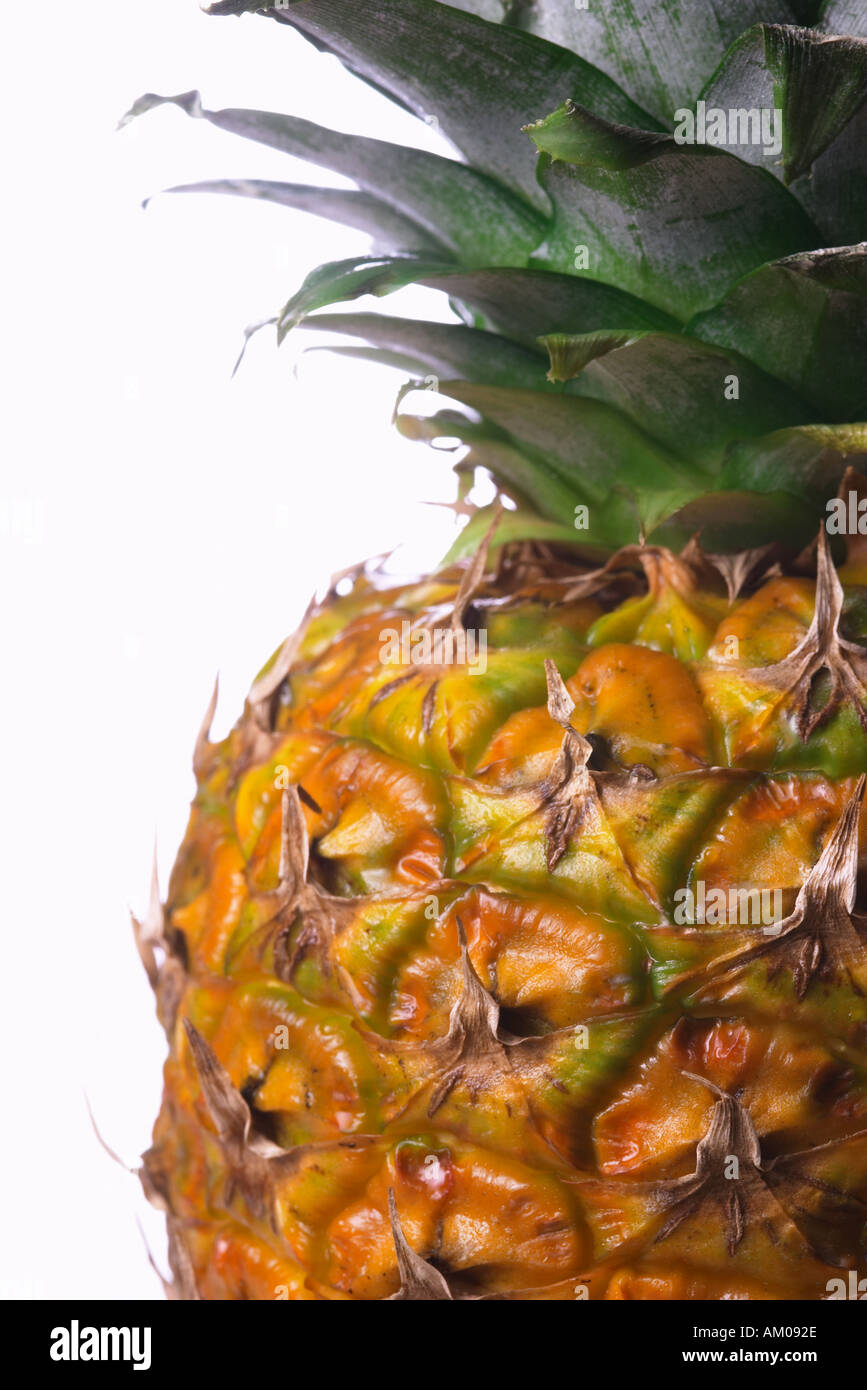 Pineapple close up to right of frame white background Stock Photo - Alamy