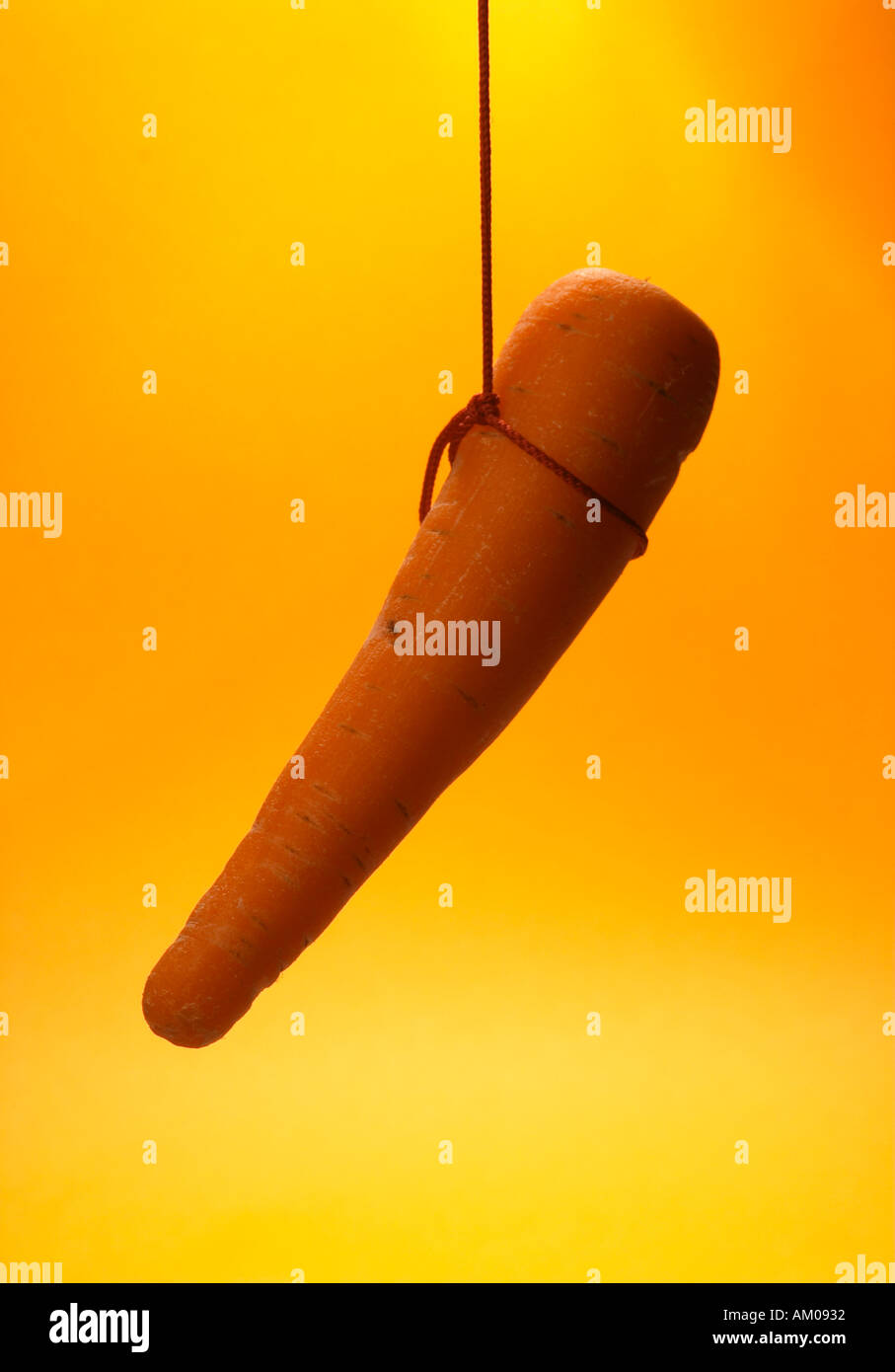 Carrot dangling from a thread Stock Photo - Alamy