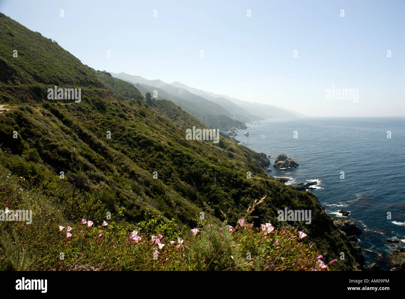 California State Route 1, Big Sur, California, USA Stock Photo - Alamy