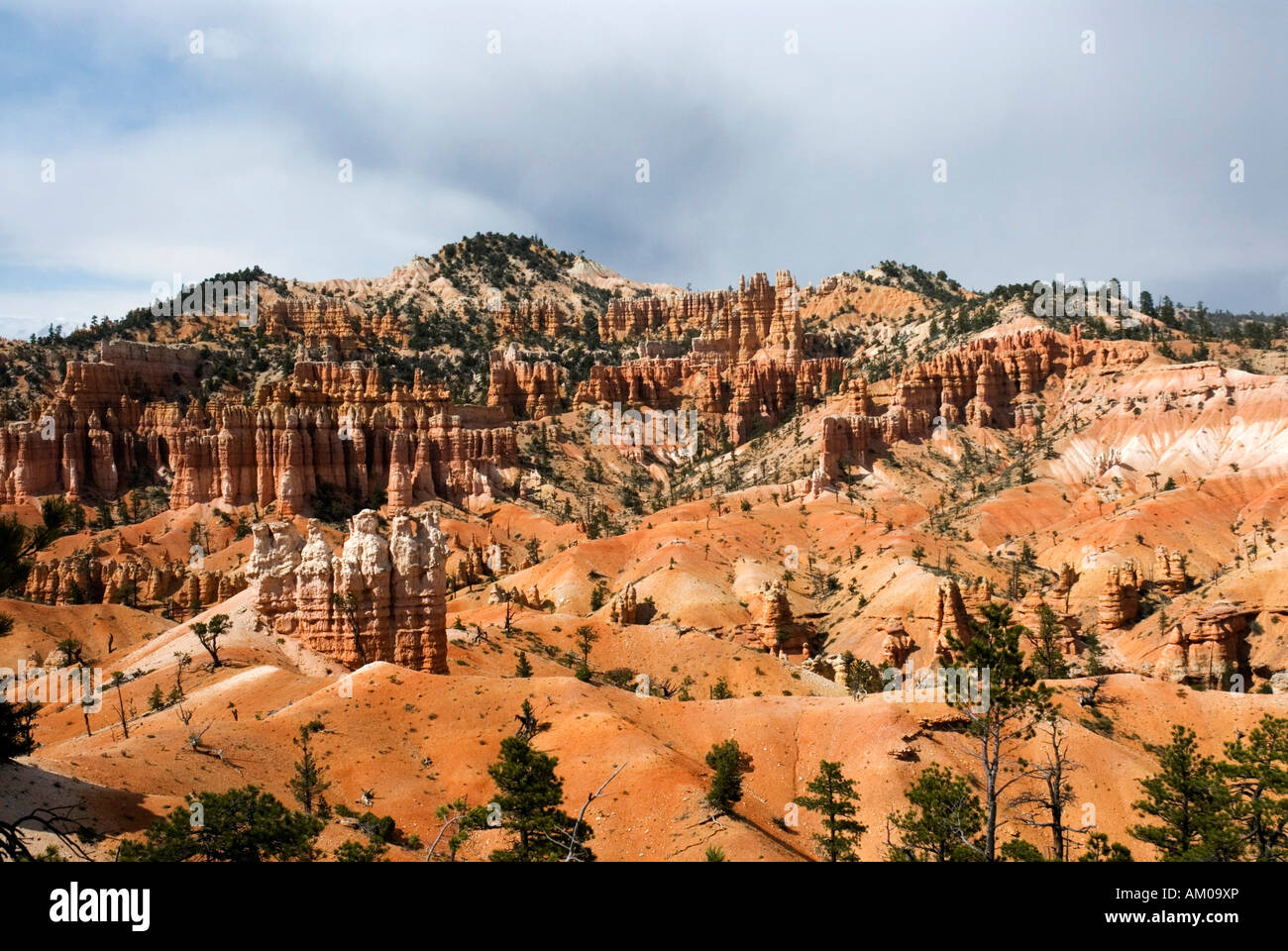 Bryce Canyon, Utah, USA Stock Photo - Alamy