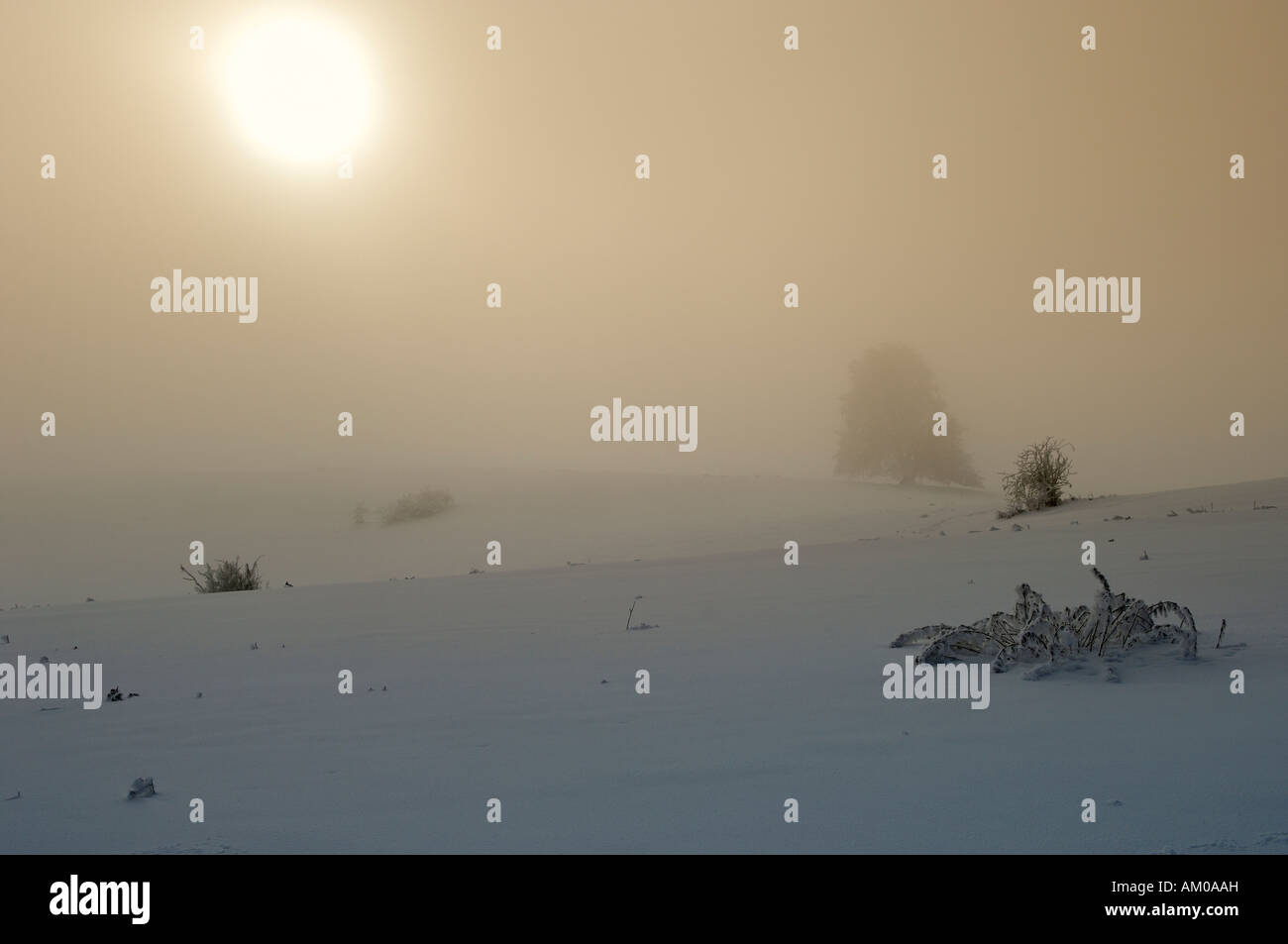 Foggy snow landscape hi-res stock photography and images - Alamy