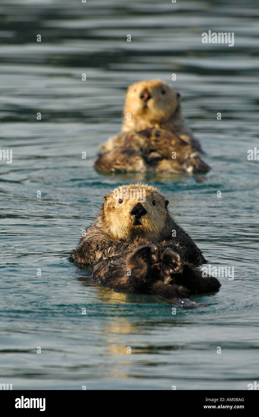 Liegende paare hi-res stock photography and images - Alamy