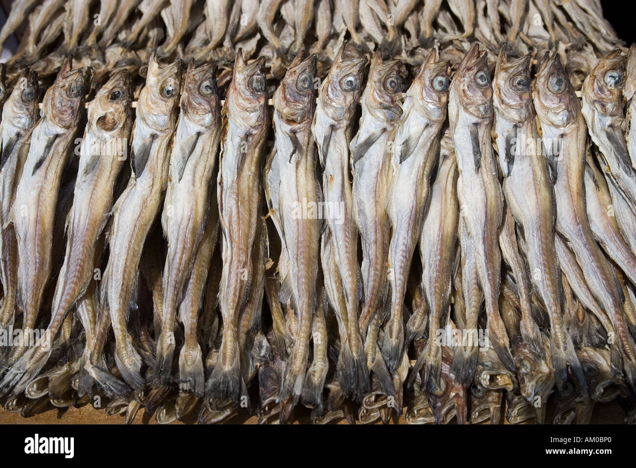 Dried Fish Stall Jagalchi Fish Market Busan South Korea Stock Photo - Alamy
