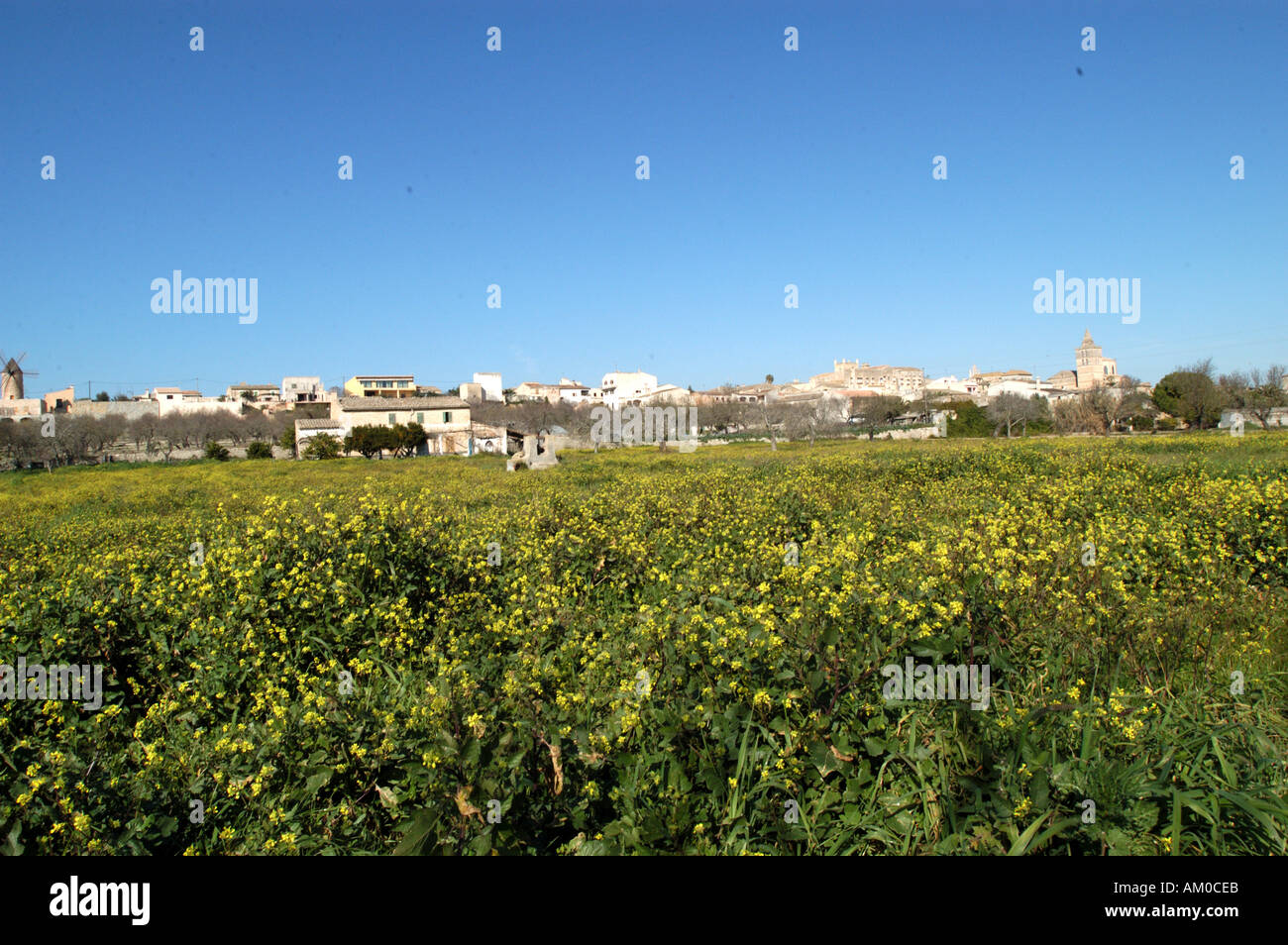 Sineu in Winter Mallorca Majorca Spain Europe Mediterranean Stock Photo ...