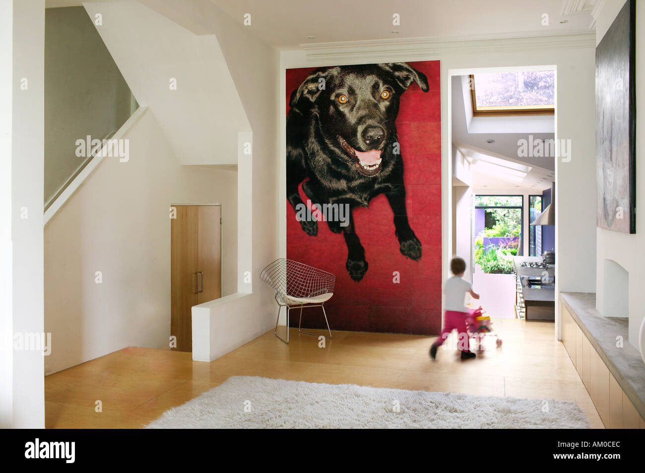 wall sized mural photograph of a labrador with toddler walking Modern ...