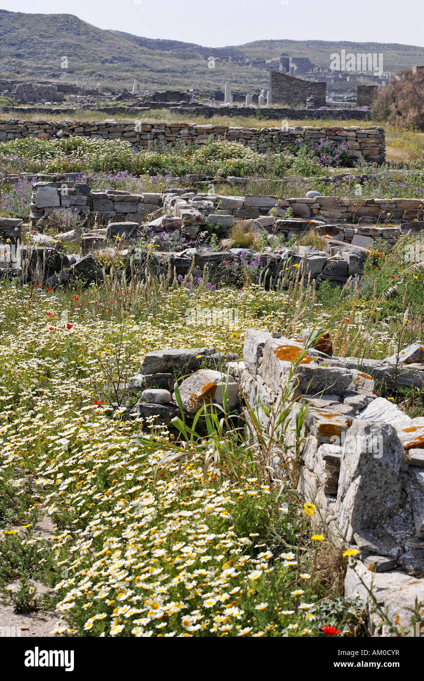 Ruins of houses of the hellenistic period, Delos, Greece Stock Photo ...