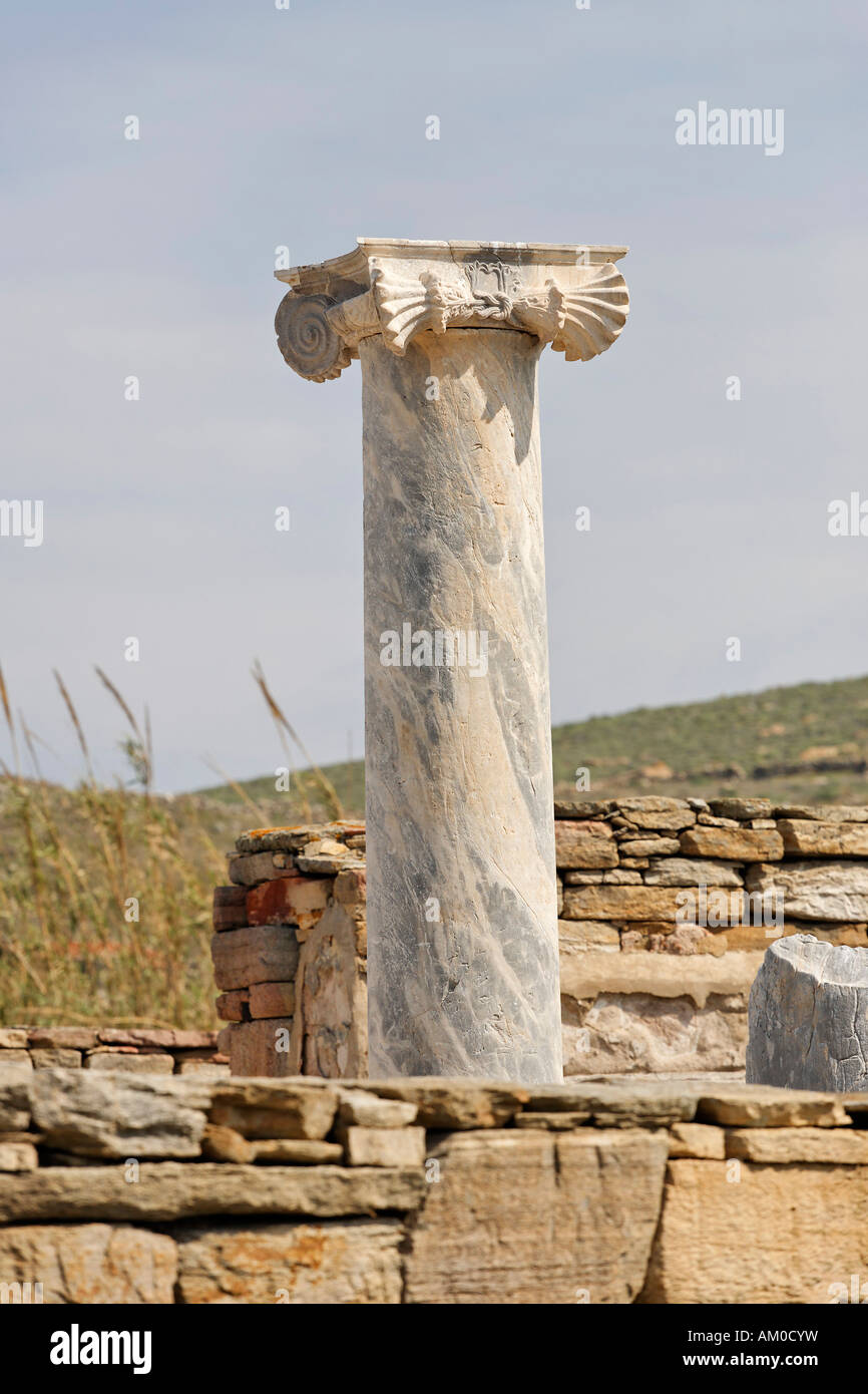 Ionic column in atrium of so-called lake-house , Delos, Greece Stock ...