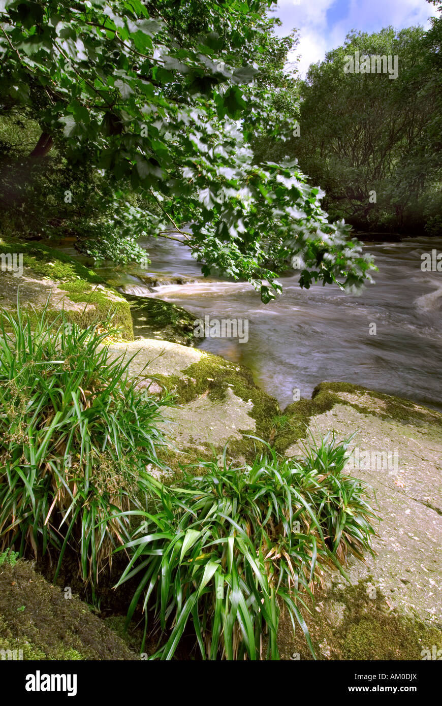 West Dart River at Hexworthy Stock Photo - Alamy